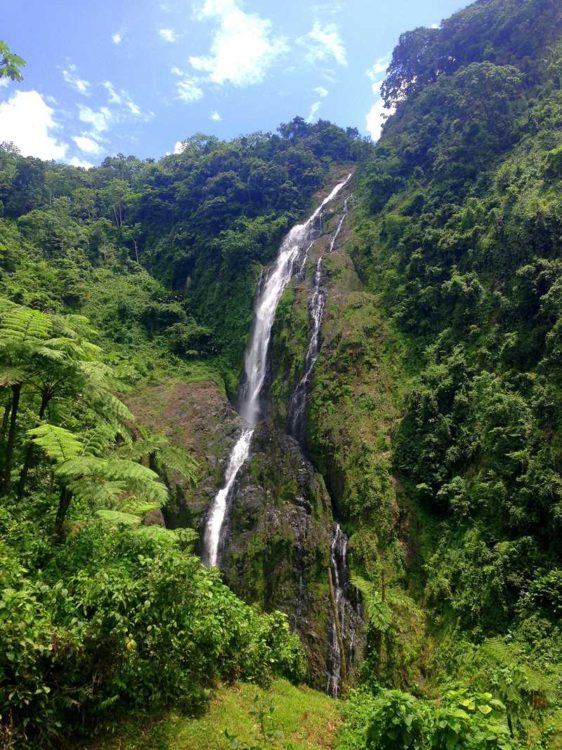 Hiking in Punta Cana – the best excursions and trails | Punta Cana ...