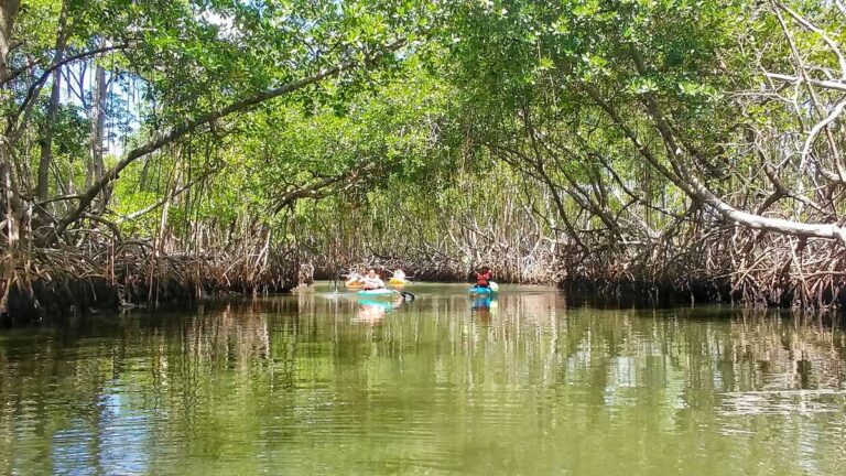 Dreams Flora Punta Cana – a comprehensive review for this new Punta ...