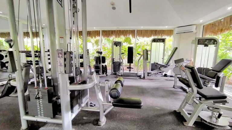 Dreams Royal Beach Punta Cana - a comprehensive review for this all ...