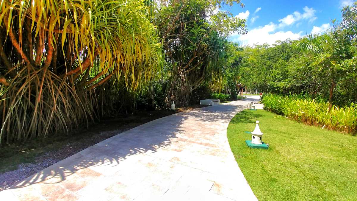 Tropical Deluxe Princess Punta Cana - a comprehensive review for this ...