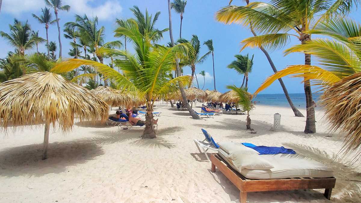 The 11 best Punta Cana swim up rooms – unique room categories, cool ...