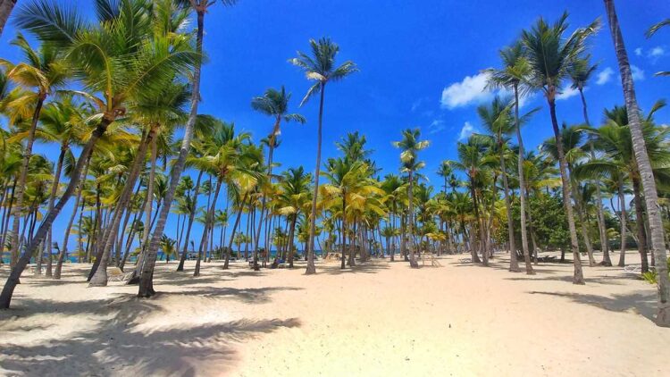 Riu Palace Macao – a comprehensive review of this newly-renovated ...