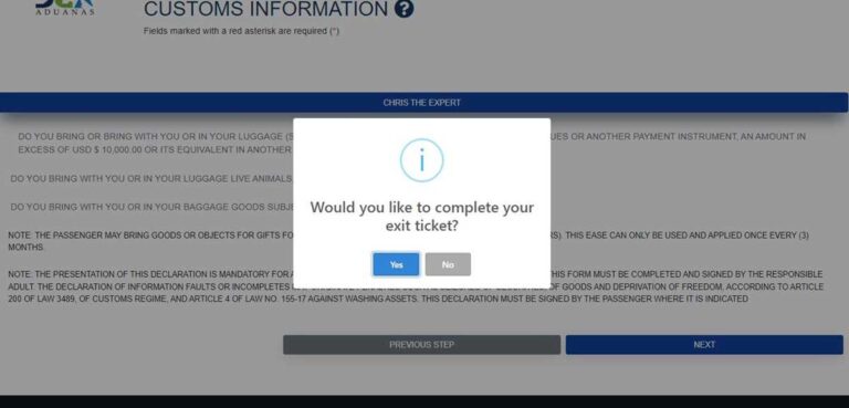 E-Ticket Dominican Republic (2023 Update) – how to fill out the ...